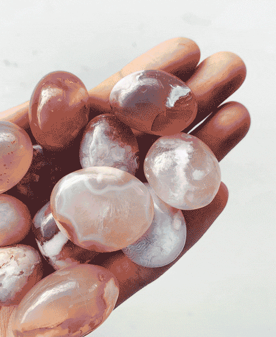 cleanse-mas gift guide – cleanse & co.